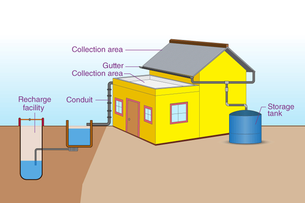 Nalla Rain Water Harvesting